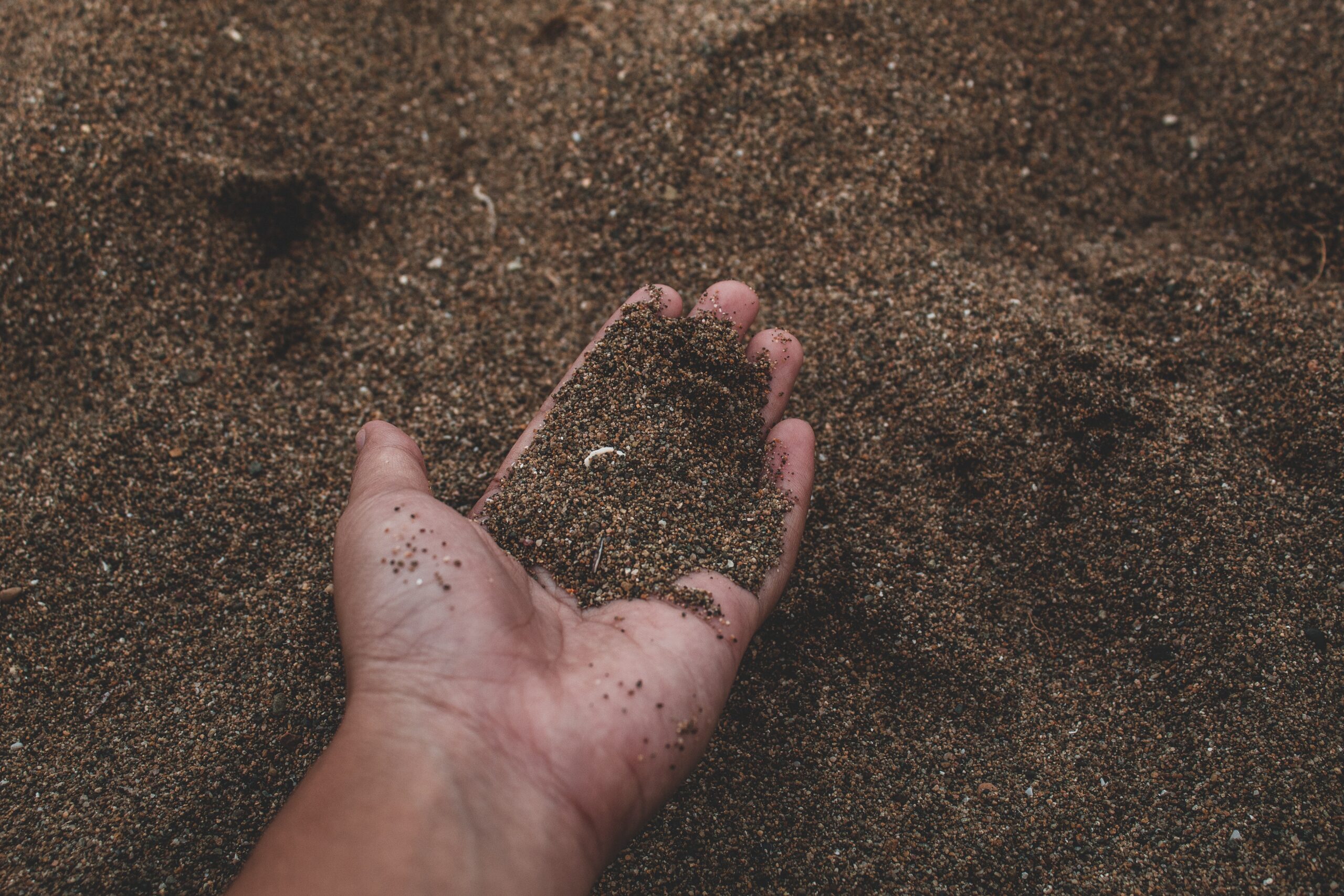 Fungi, Worms, and More: Hidden Dangers of Soils on Eye Health | Arizona ...